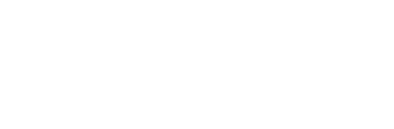 State Debt Management Network – The professional organization of the ...